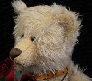 Rare and Collectible Bears